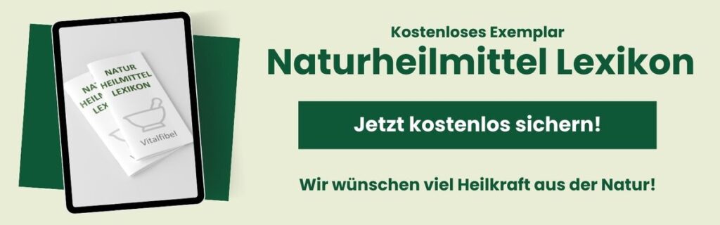 L Cystein: Eine Aminosäure mit antioxidativer Wirkung - Kräutermax Magazin